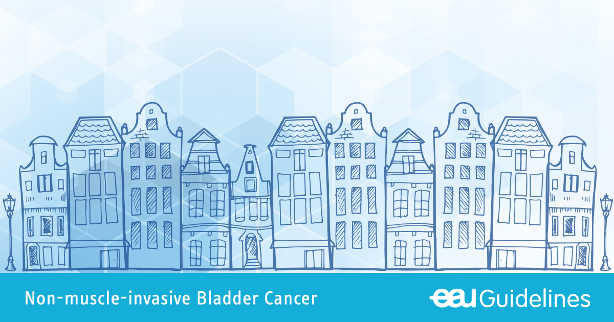 Archive of the Non-muscle-invasive Bladder Cancer guideline - Uroweb