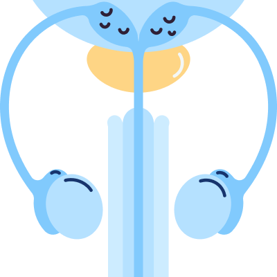 Prostate cancer stage 1 - Patient Information