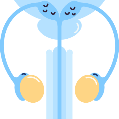 Cryptorchidism - Patients