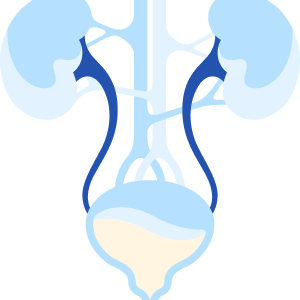 Treatment of urge urinary incontinence - Patient Information