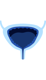 Living with OAB - Patient Information