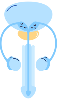 I have prostate pain syndrome - Patient Information