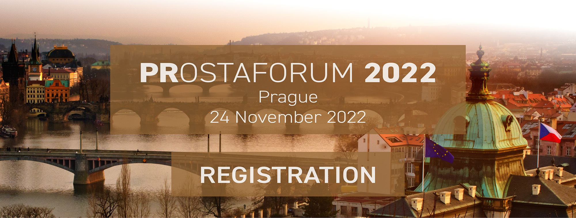 Czech EU Presidency Prostate Cancer early detection event – evidence ...